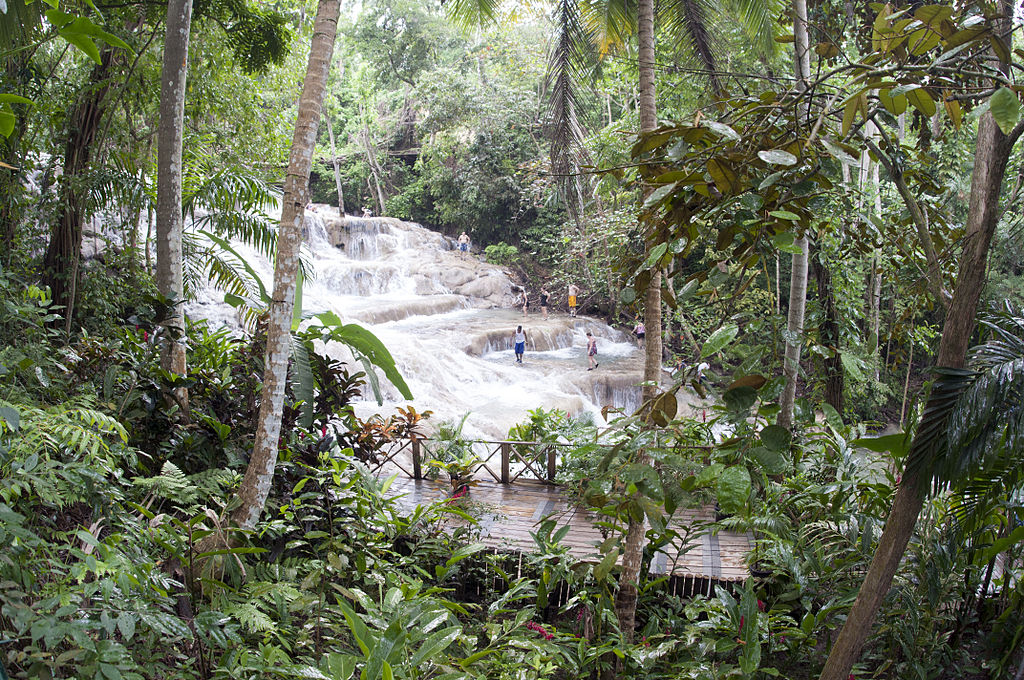 Things to Do in Dunn's River Falls